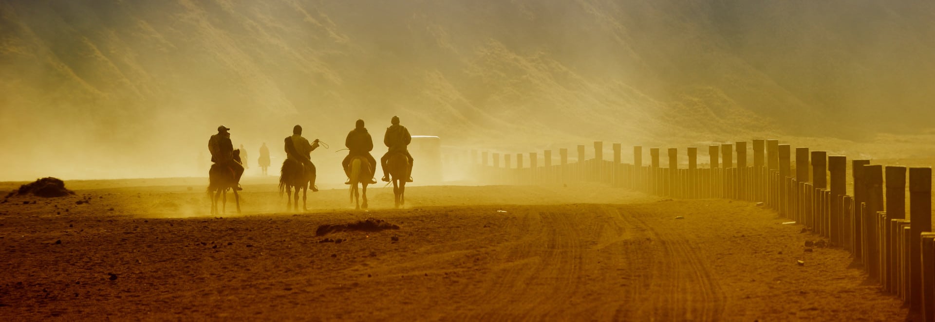 Medieval Combat Insurance - SportsCover Direct