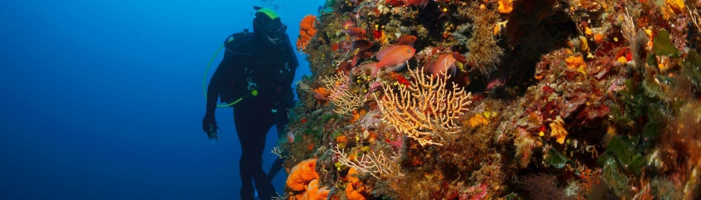 Scuba Diving Travel Insurance From £11.59