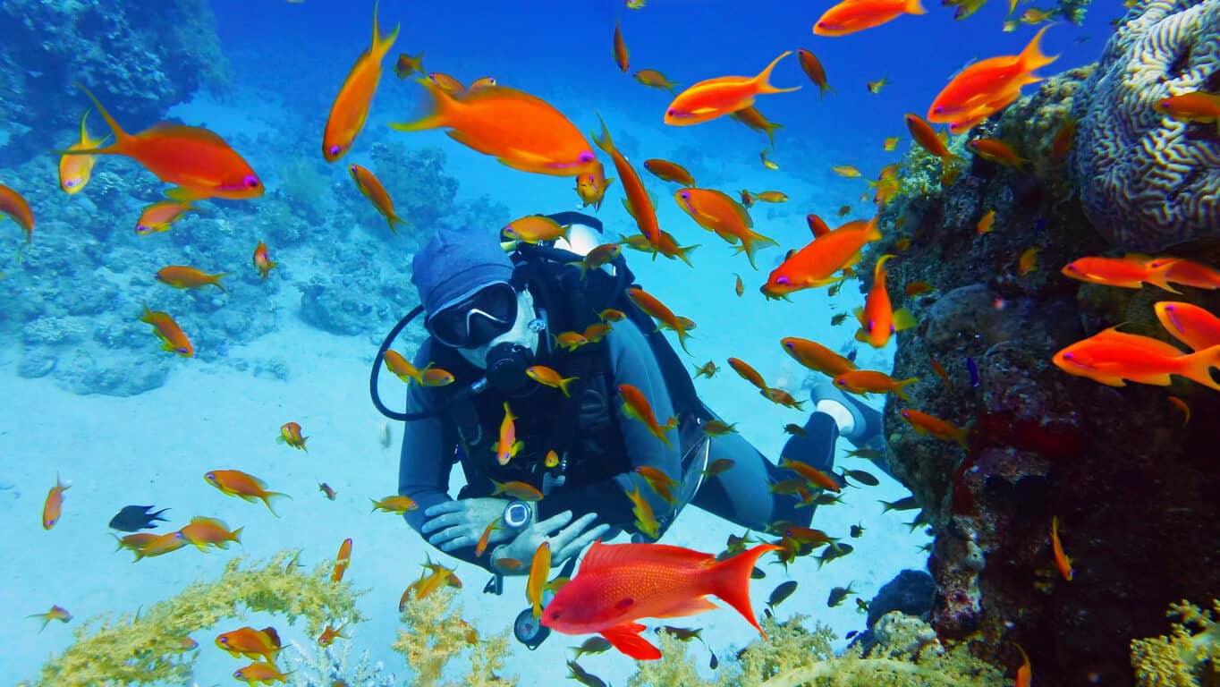 5 Most Amazing Scuba Destinations | SportsCover Direct