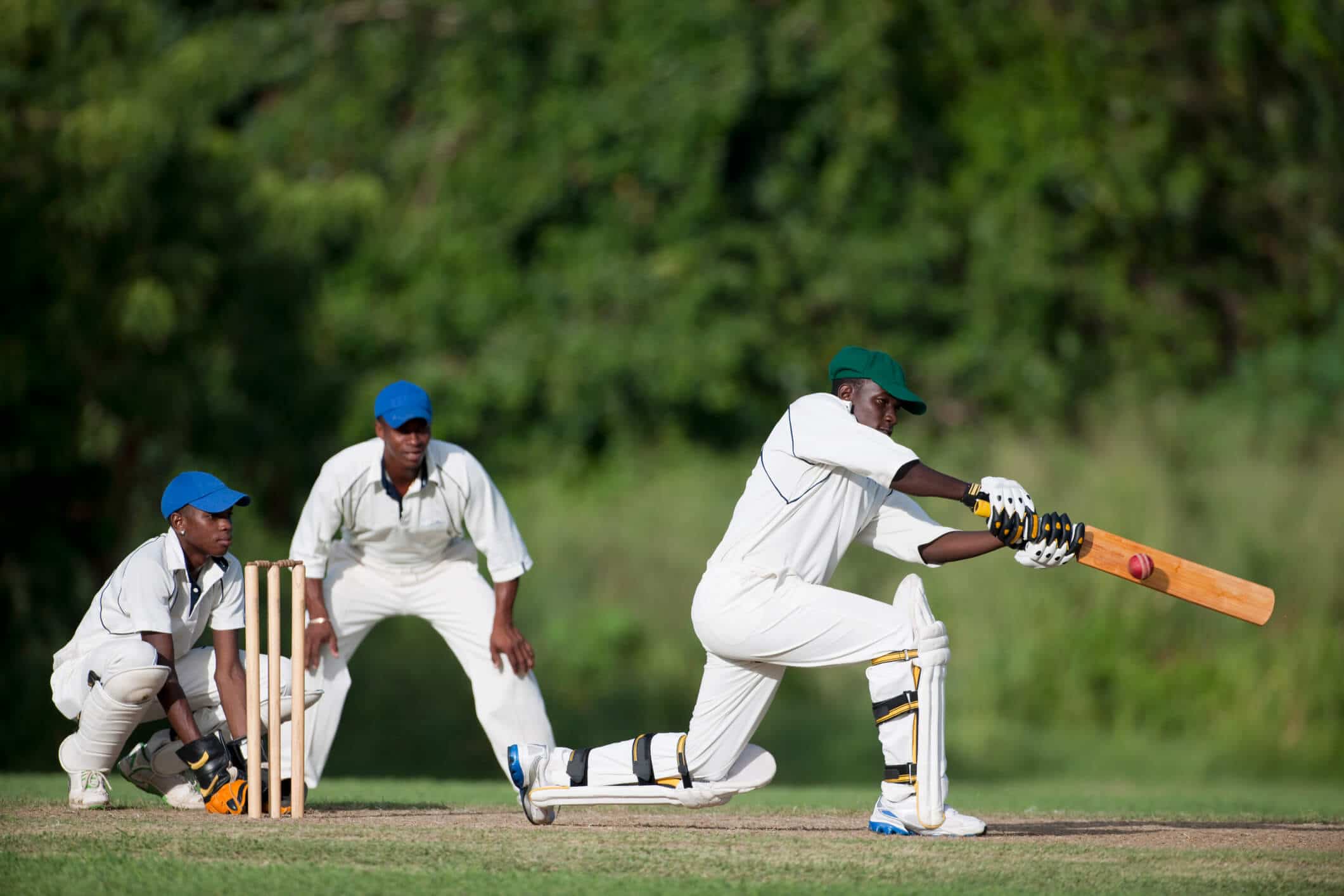 Cricket Insurance - Get 10% Off Online | SportsCover Direct