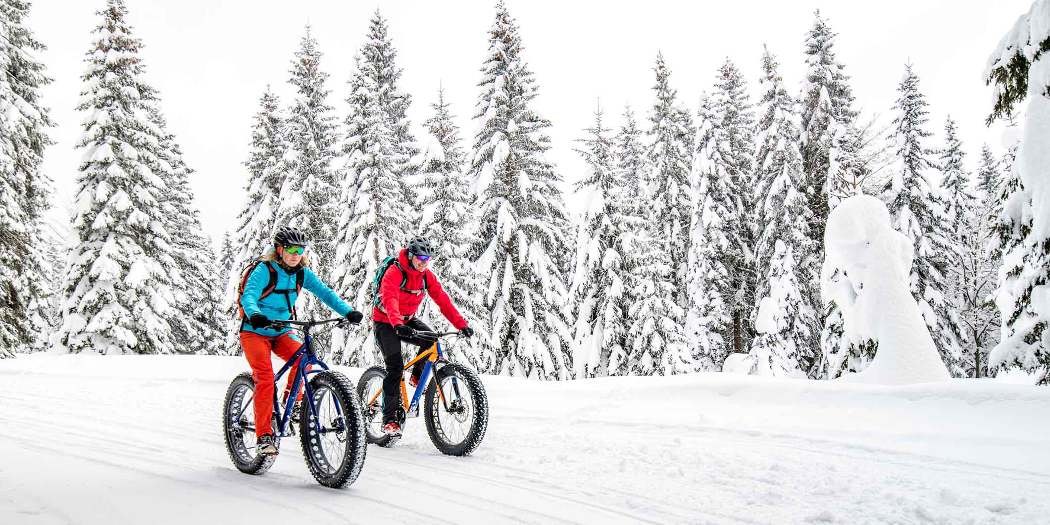 What is fat biking? | SportsCover Direct