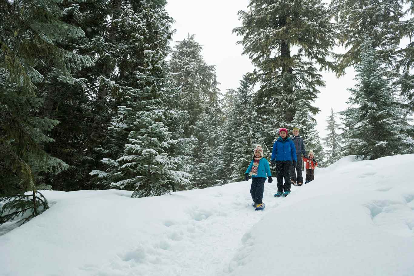 Family-Friendly Winter Sports Activities | SportsCover Direct