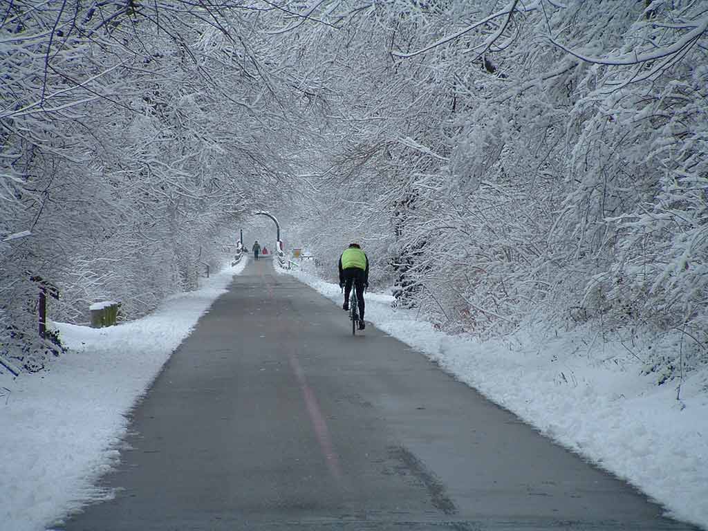A beginner's guide to road biking in winter | SportsCover Direct